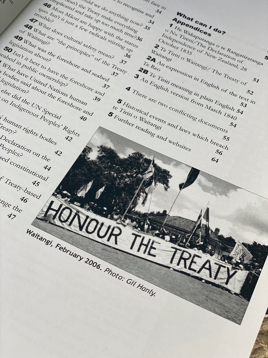 Treaty Of Waitangi Book – InnoNative